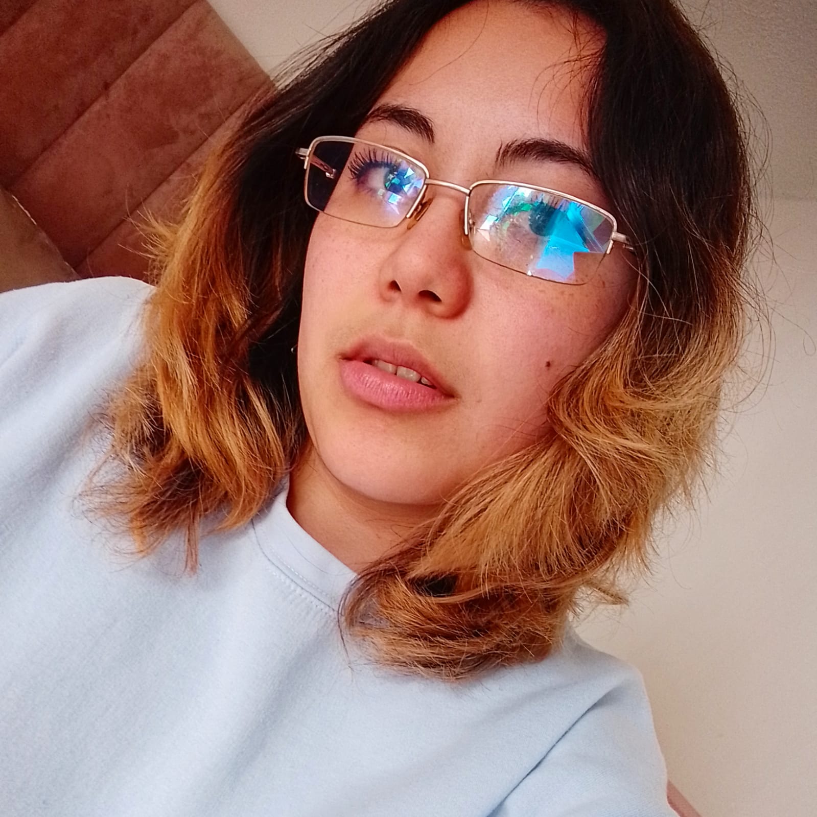 Selena López Arce | Mi Portafolio de Proyectos Web